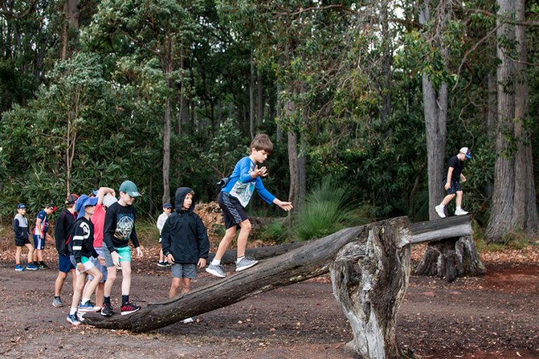 Engaging School Camp Activities at Dare Adventures | Fun & Educational